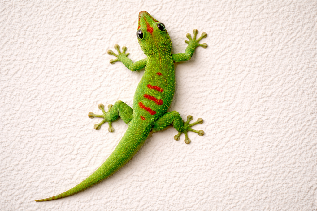 Quantum Revolution: How Max Planck Tapped Into the Universe’s Zero ...